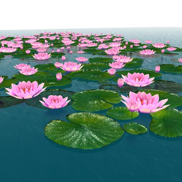 水花3D模型 - TurboSquid 1520002