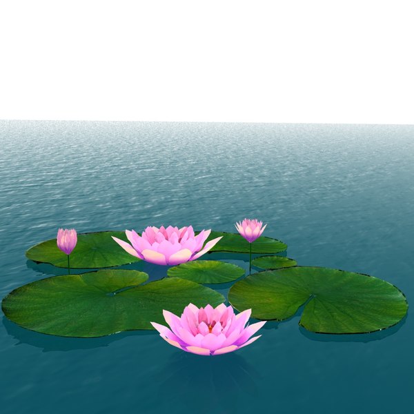 水花3D模型 - TurboSquid 1520002