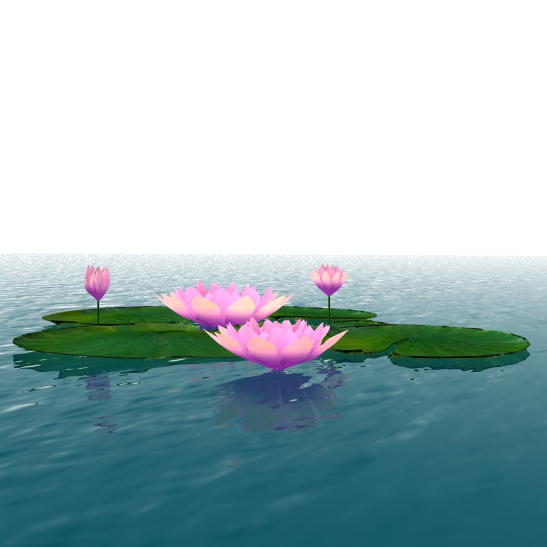 3D water flower model - TurboSquid 1520002