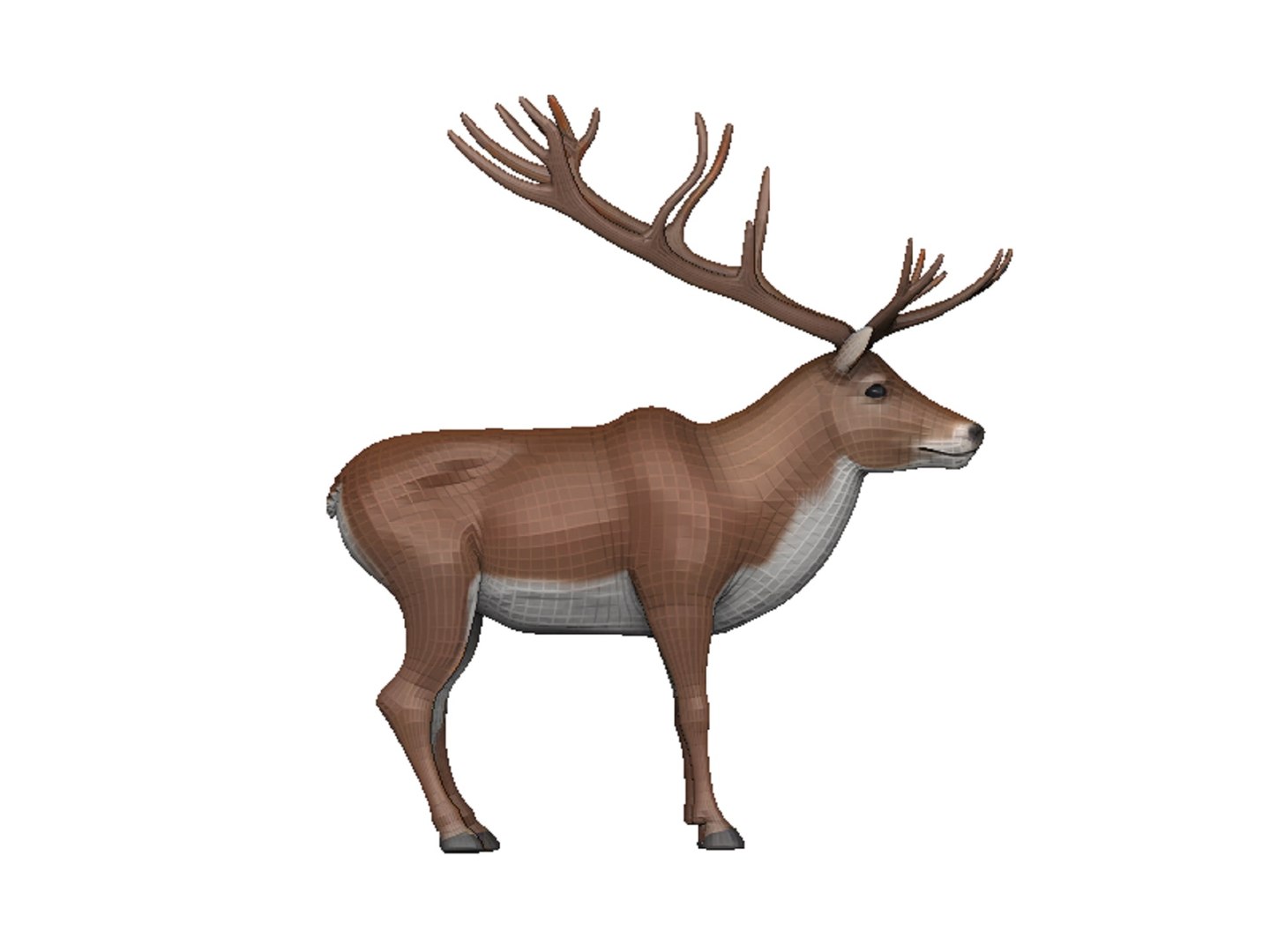Caribou 3D Model - TurboSquid 2434561