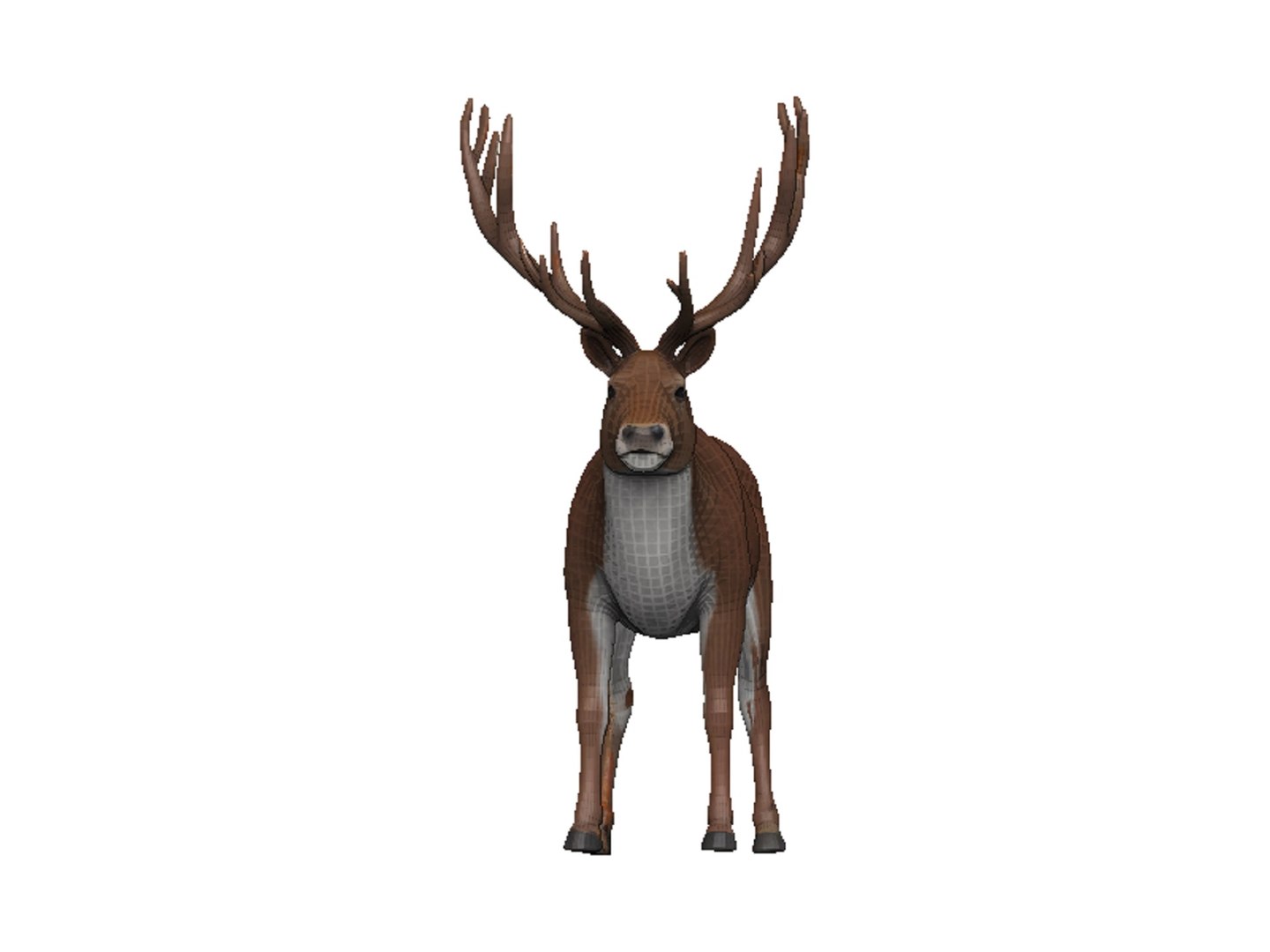 Caribou 3D Model - TurboSquid 2434561