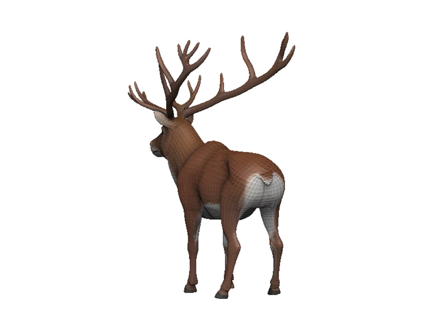 Caribou 3D Model - TurboSquid 2434561