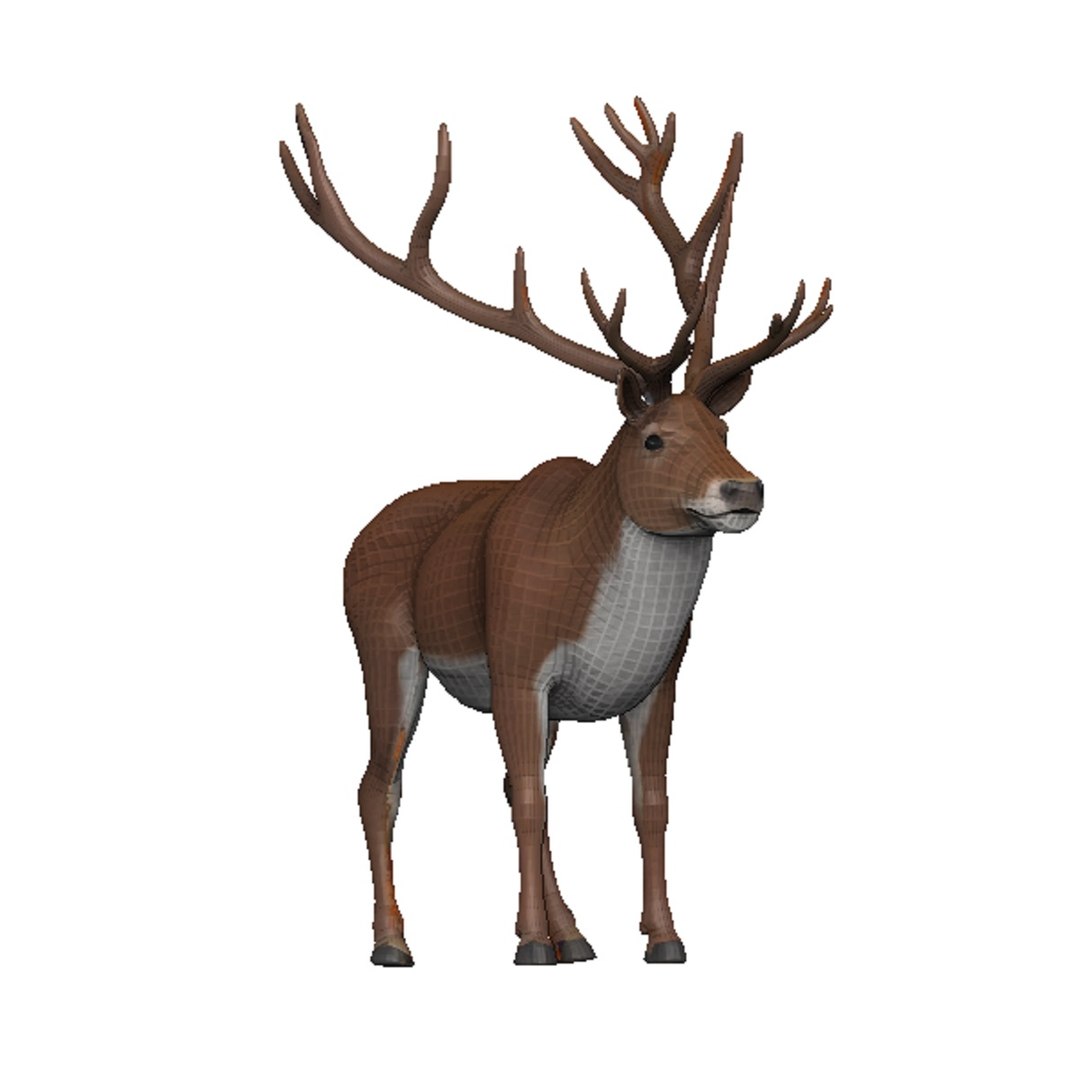 Caribou 3D Model - TurboSquid 2434561