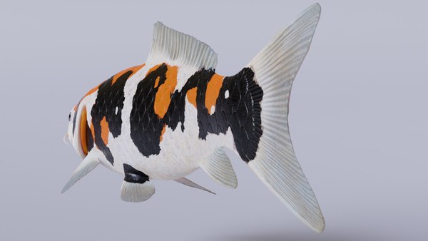 3D model Koi Carp Pack - TurboSquid 1841640