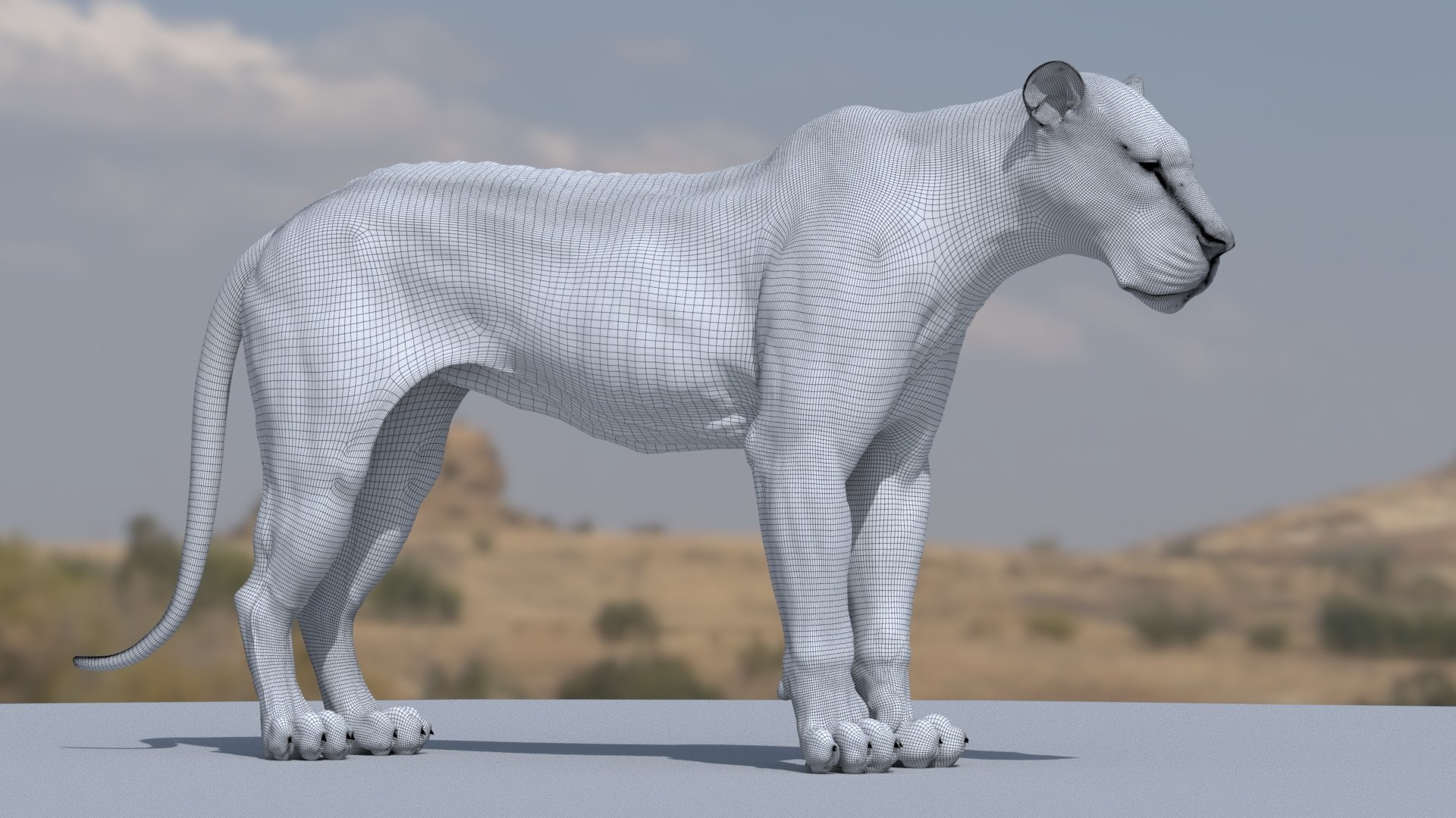 3D Lion RIGGED - TurboSquid 2205956