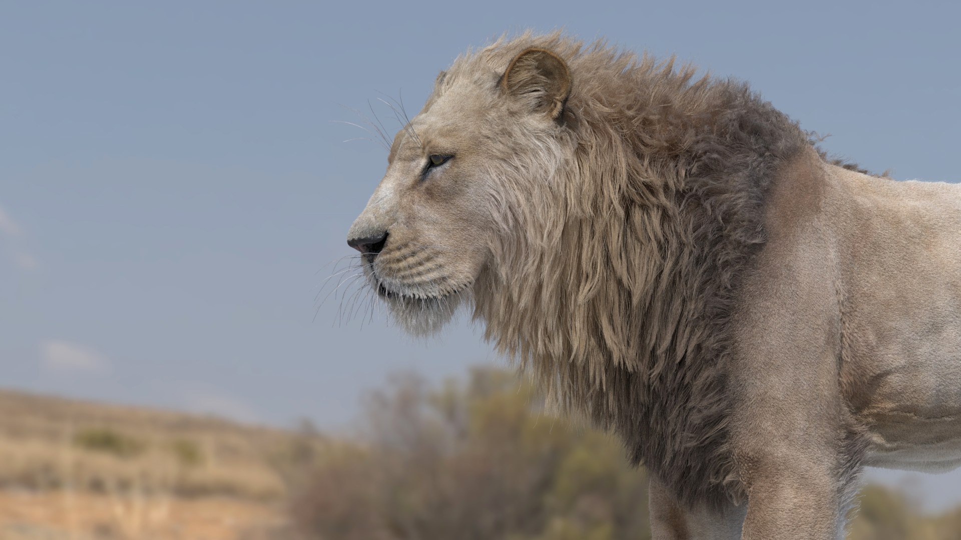 3D Lion RIGGED - TurboSquid 2205956