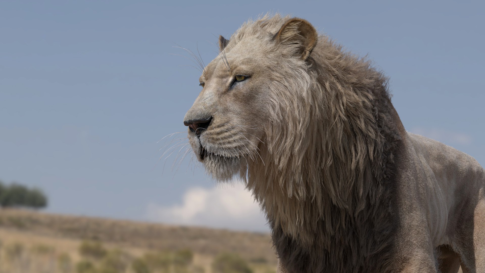 3D Lion RIGGED - TurboSquid 2205956