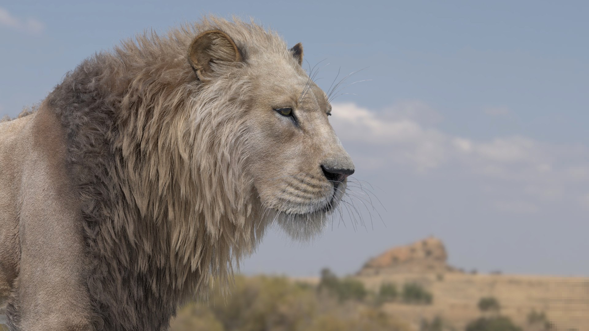 3D Lion RIGGED - TurboSquid 2205956