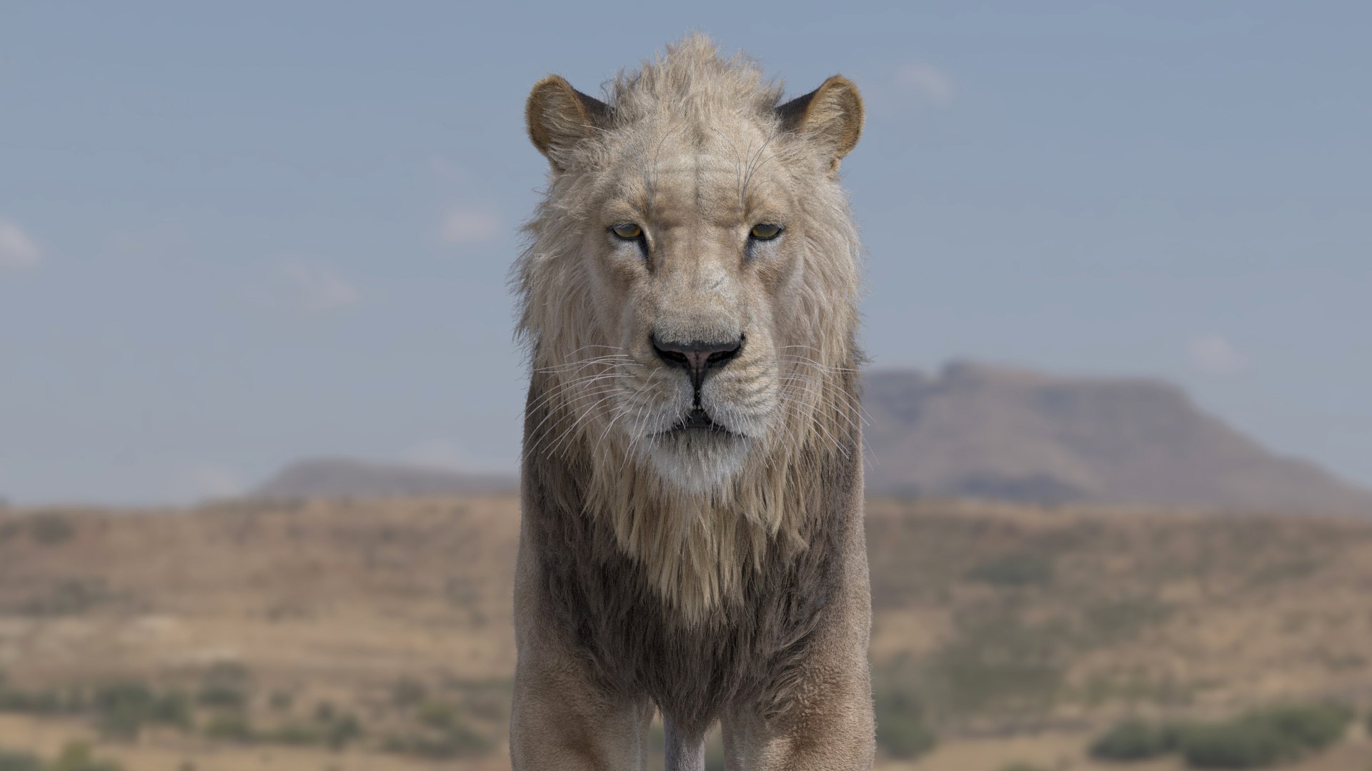 3D Lion RIGGED - TurboSquid 2205956