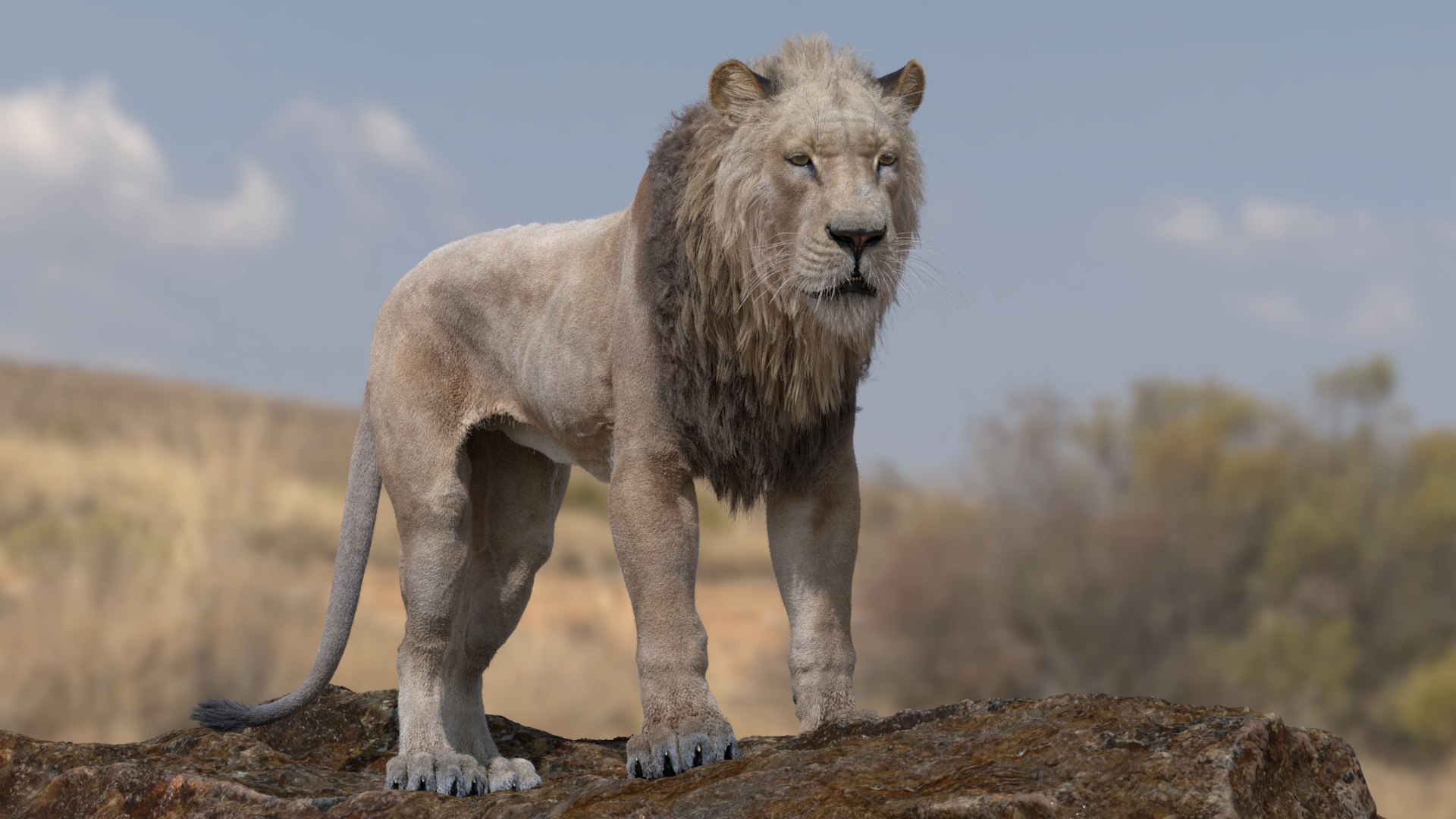 3D Lion RIGGED - TurboSquid 2205956