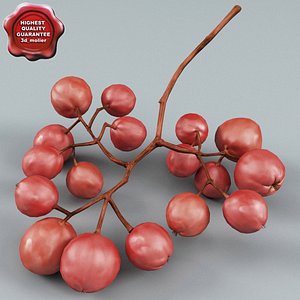 Download Free & Premium Rowan Fruit 3D Models | TurboSquid