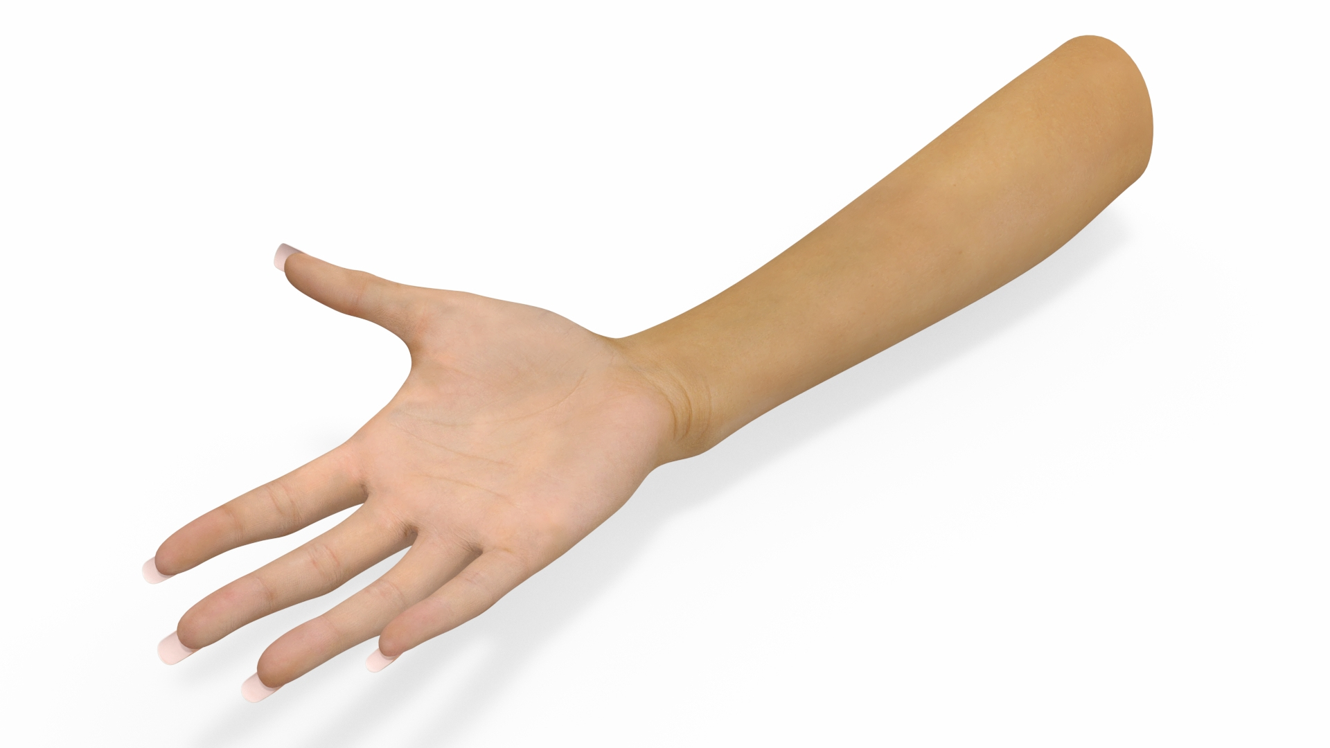 3D Model Woman Hand Rigged For Cinema 4D - TurboSquid 2193396