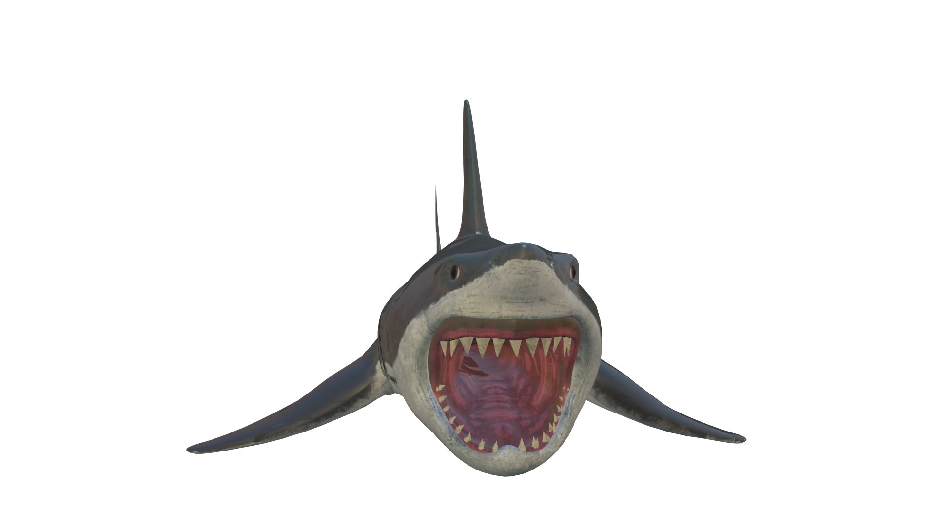 Carcharodon Carcharias 3D Model Model - TurboSquid 2310665