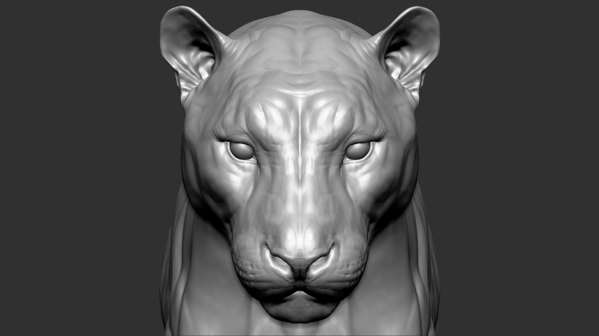 3D Tiger Vfx Zbrush Sculpt - TurboSquid 1521066