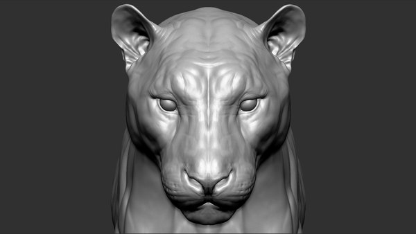 Tiger Vfx Cinematic Realistic Zbrush Sculpt v2 3D 모델 - TurboSquid 1521066