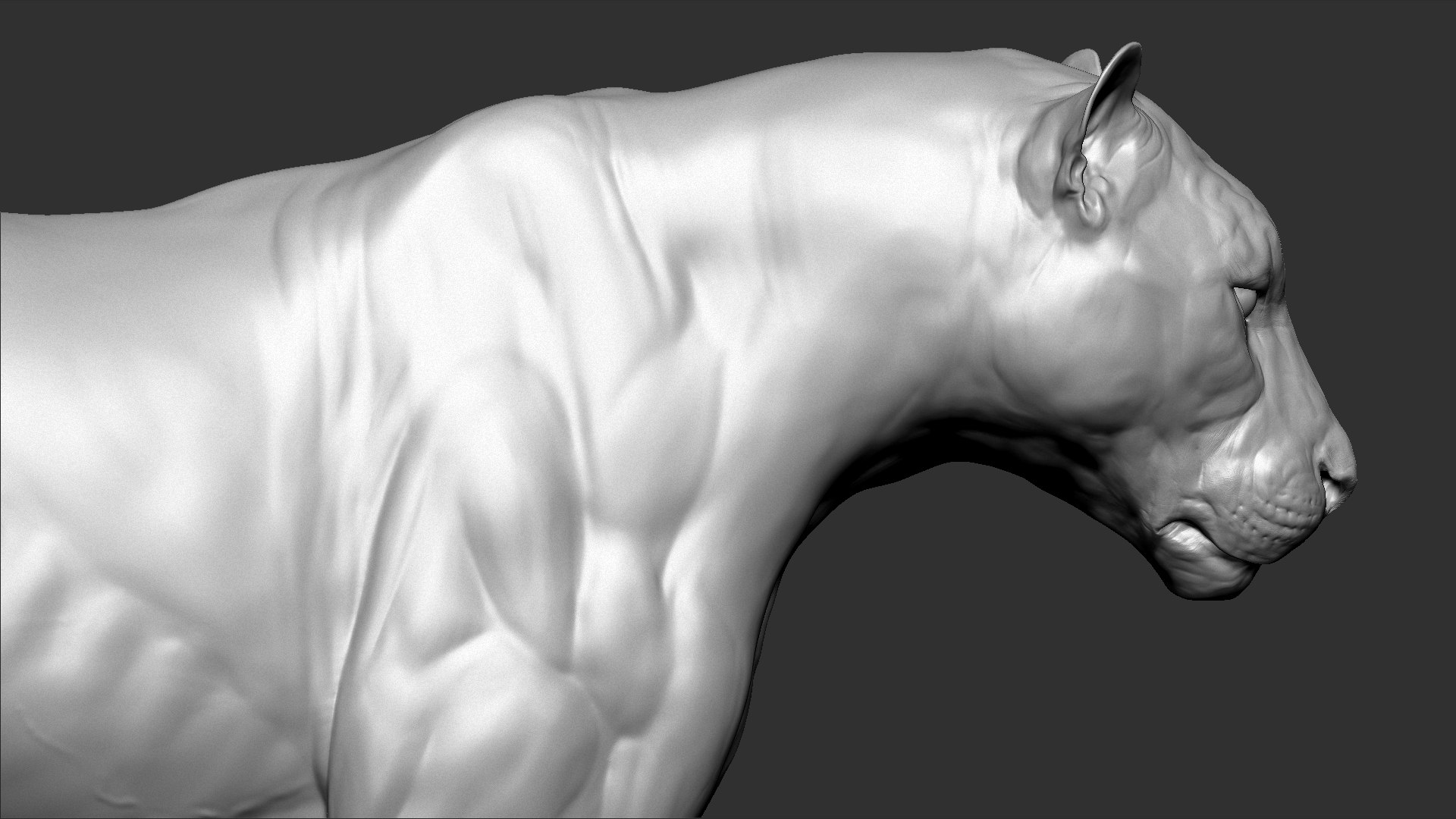 3D Tiger Vfx Zbrush Sculpt - TurboSquid 1521066