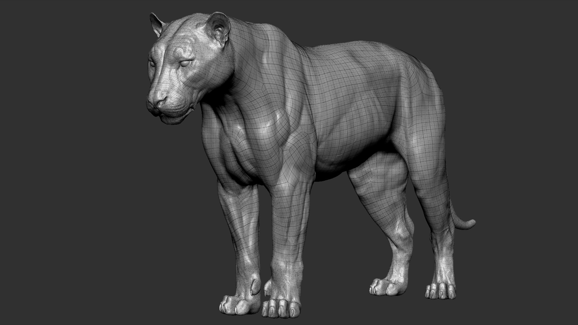 3D Tiger Vfx Zbrush Sculpt - TurboSquid 1521066