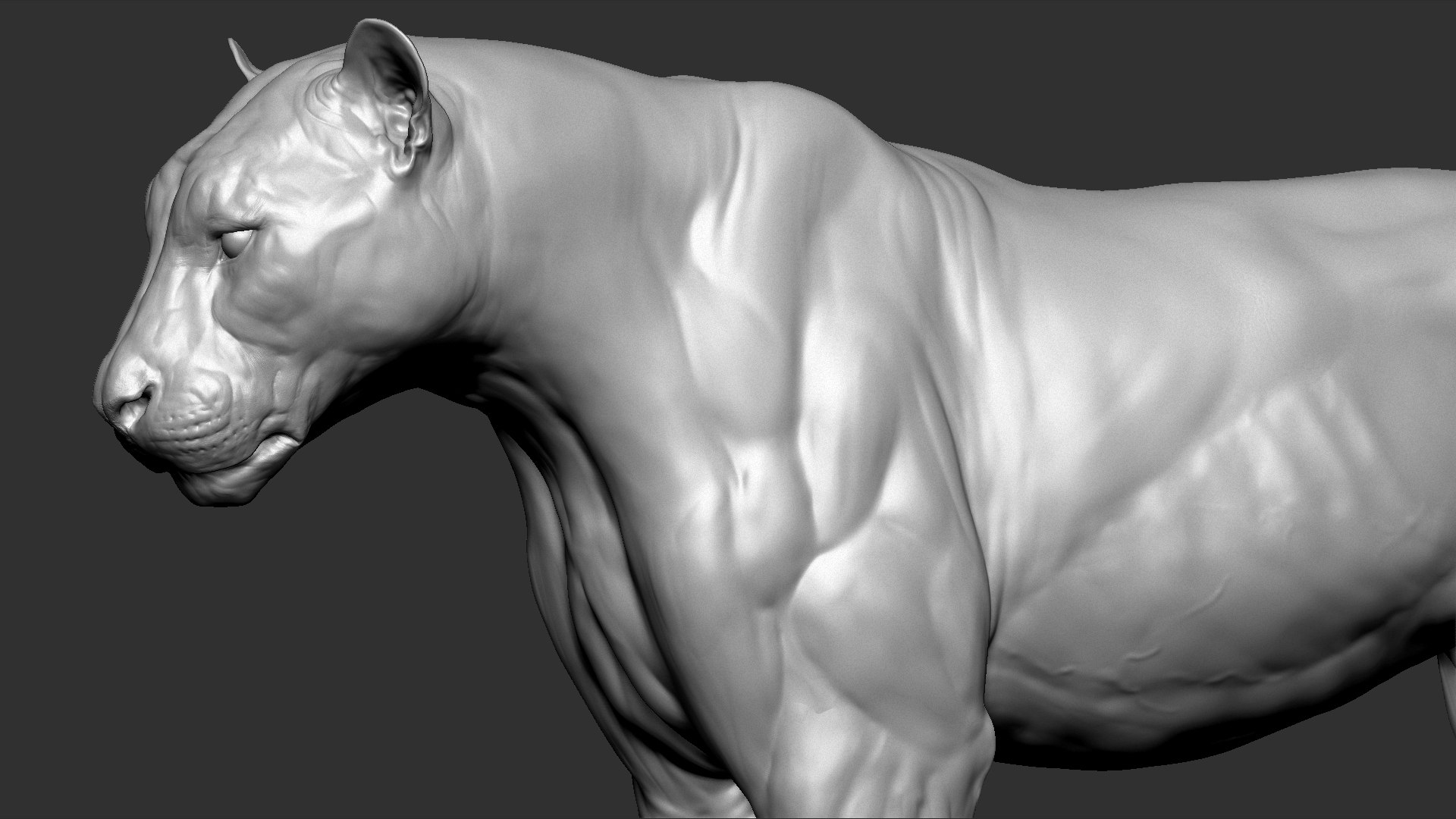 3D Tiger Vfx Zbrush Sculpt - TurboSquid 1521066