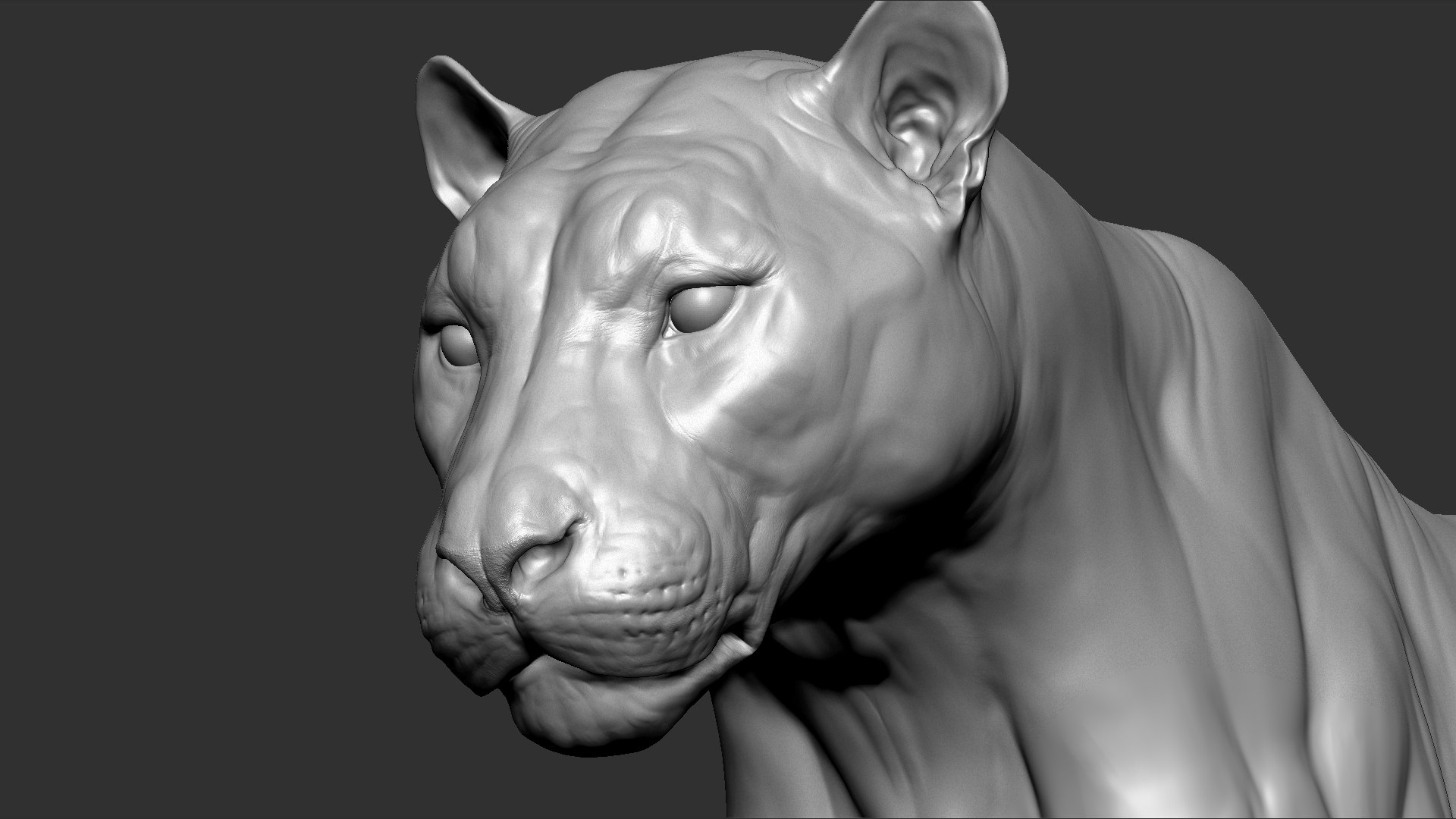 3D Tiger Vfx Zbrush Sculpt - TurboSquid 1521066