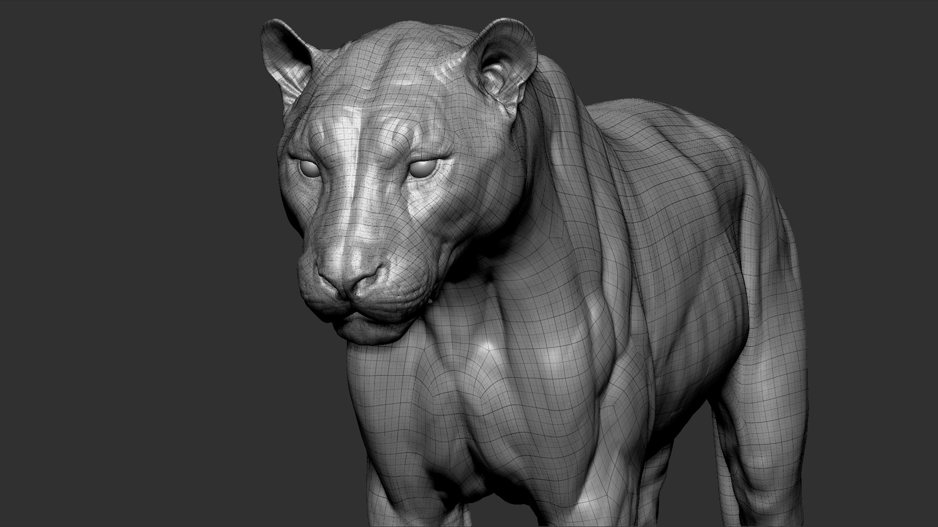 3D Tiger Vfx Zbrush Sculpt - TurboSquid 1521066