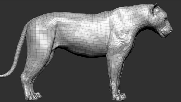 Tiger Vfx Cinematic Realistic Zbrush Sculpt v2 3D 모델 - TurboSquid 1521066