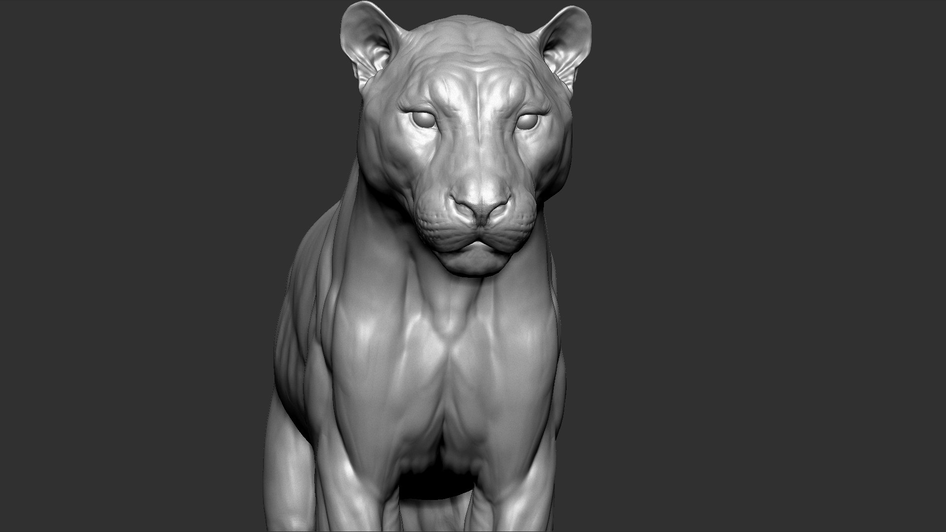 3D Tiger Vfx Zbrush Sculpt - TurboSquid 1521066