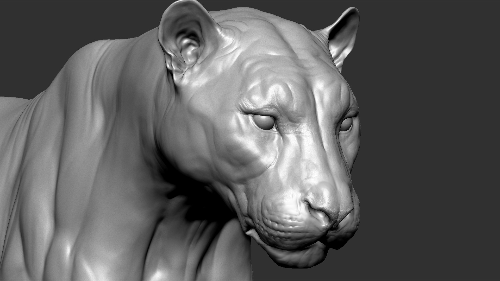 3D Tiger Vfx Zbrush Sculpt - TurboSquid 1521066