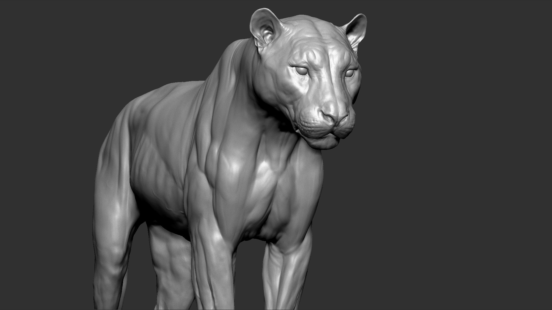 3D Tiger Vfx Zbrush Sculpt - TurboSquid 1521066