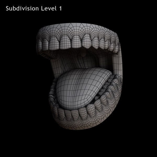 3d model human jaw