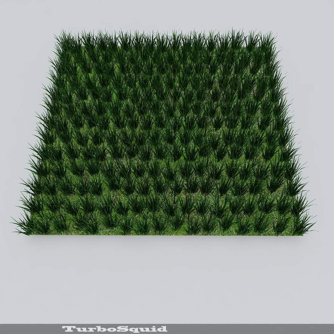 Max Grass