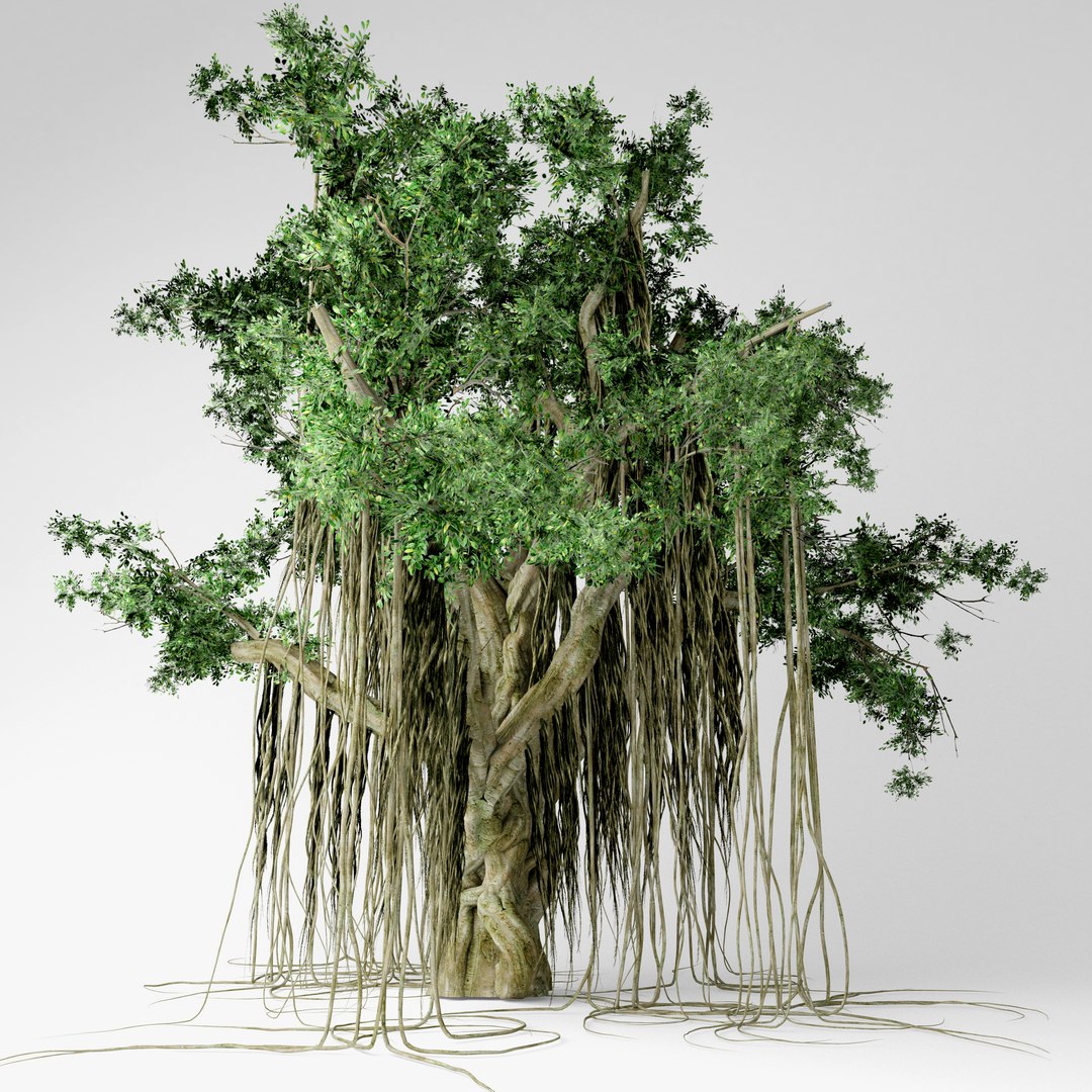 Banyan Tree Model - TurboSquid 1518407