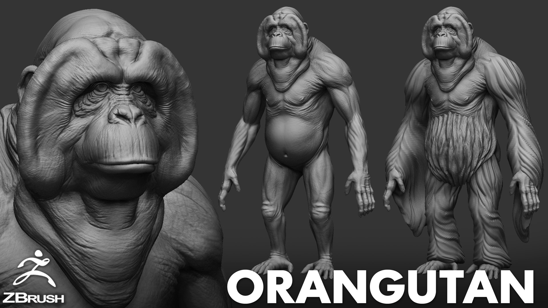 3D Primate Pack 2 Model - TurboSquid 2096641