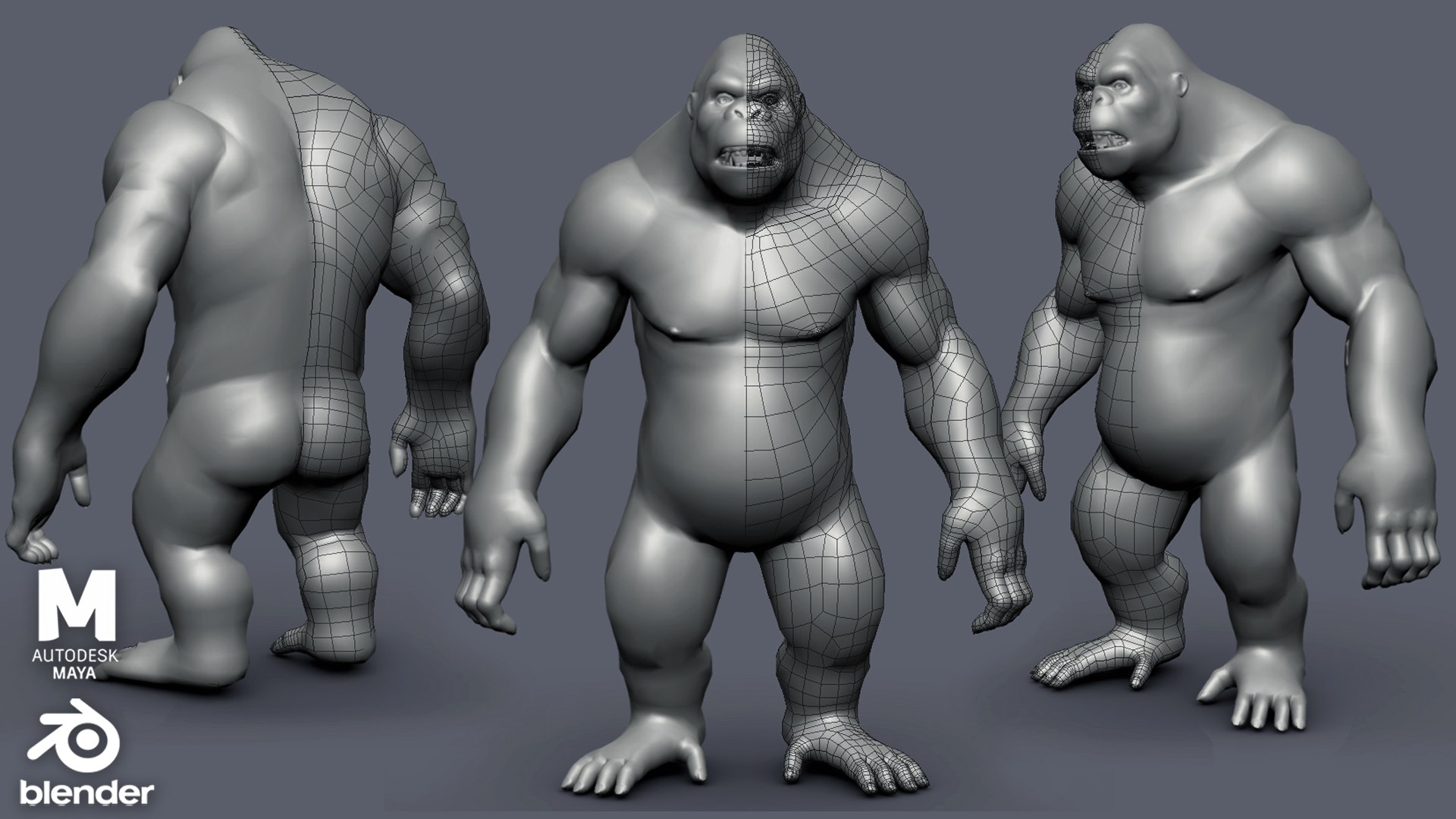 3D Primate Pack 2 Model - TurboSquid 2096641