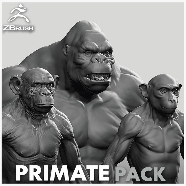 modelo 3d Paquete de primates - TurboSquid 2096641