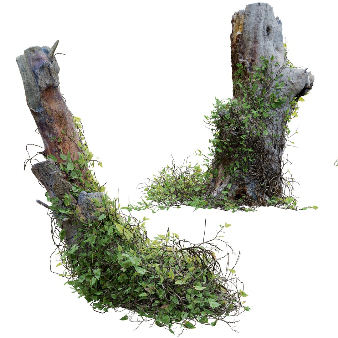 Stump With Vine Model - TurboSquid 1956968