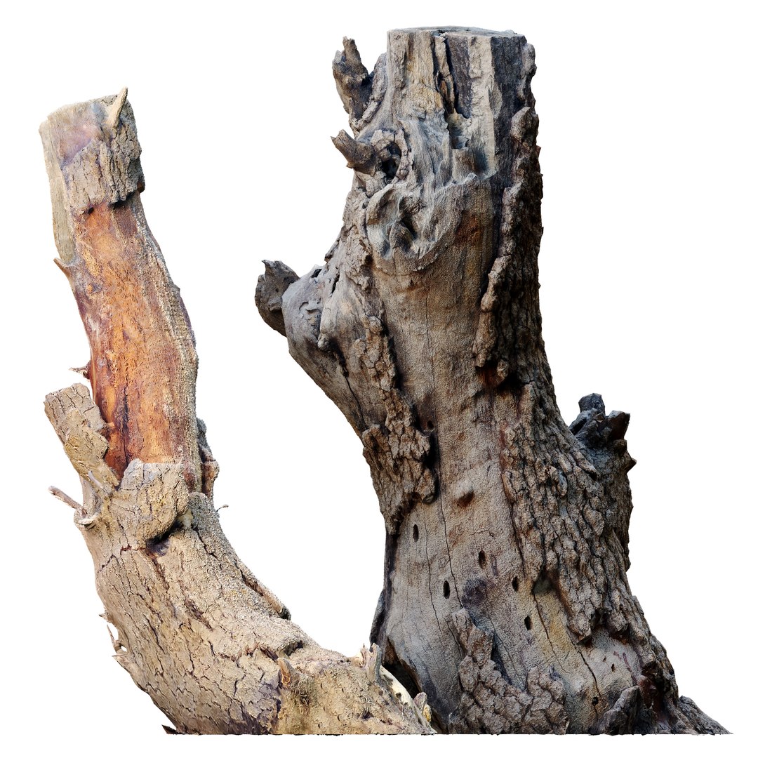 Stump With Vine Model - TurboSquid 1956968