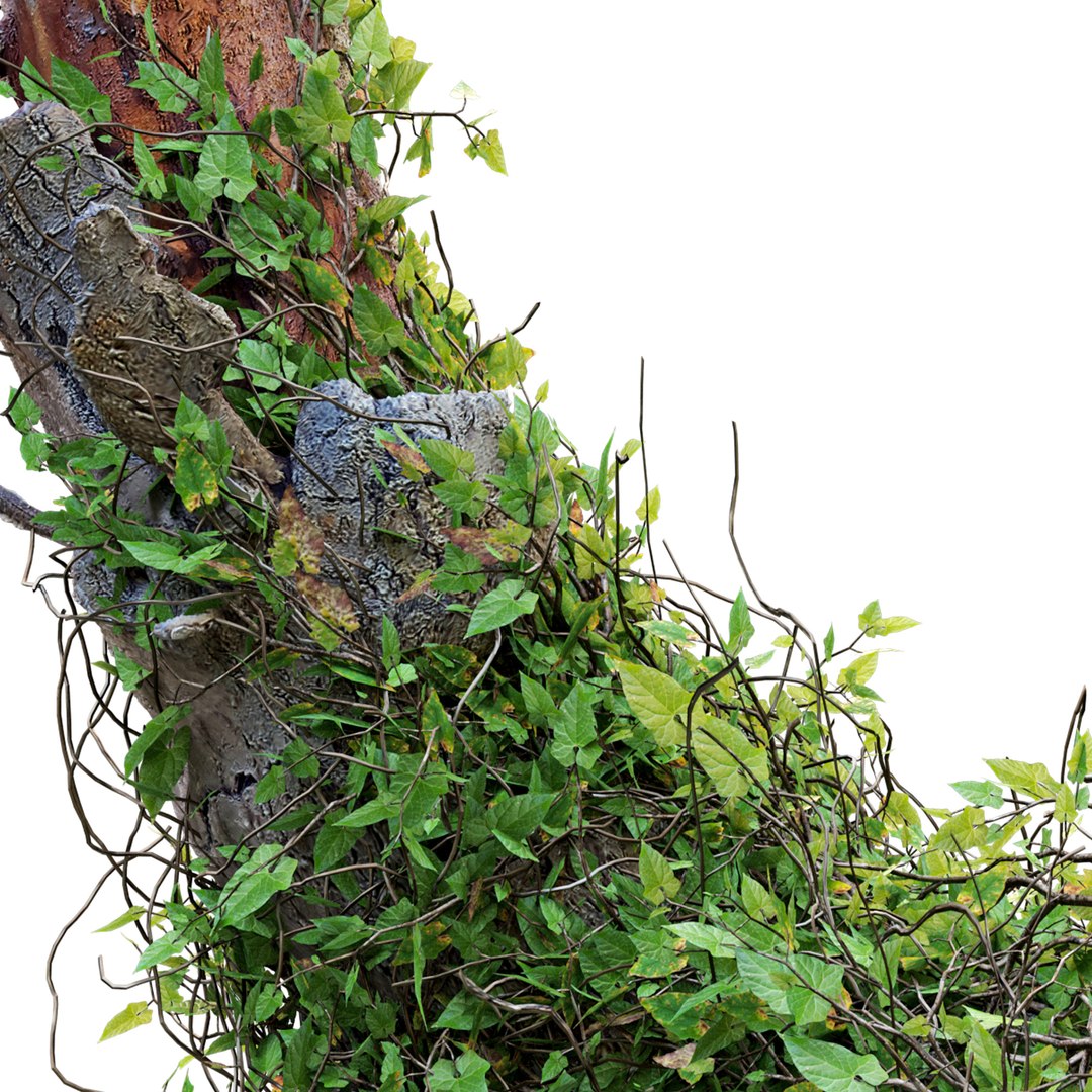 Stump With Vine Model - TurboSquid 1956968