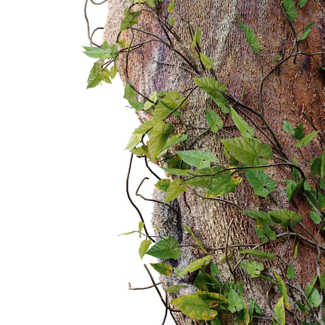 Stump With Vine Model - TurboSquid 1956968