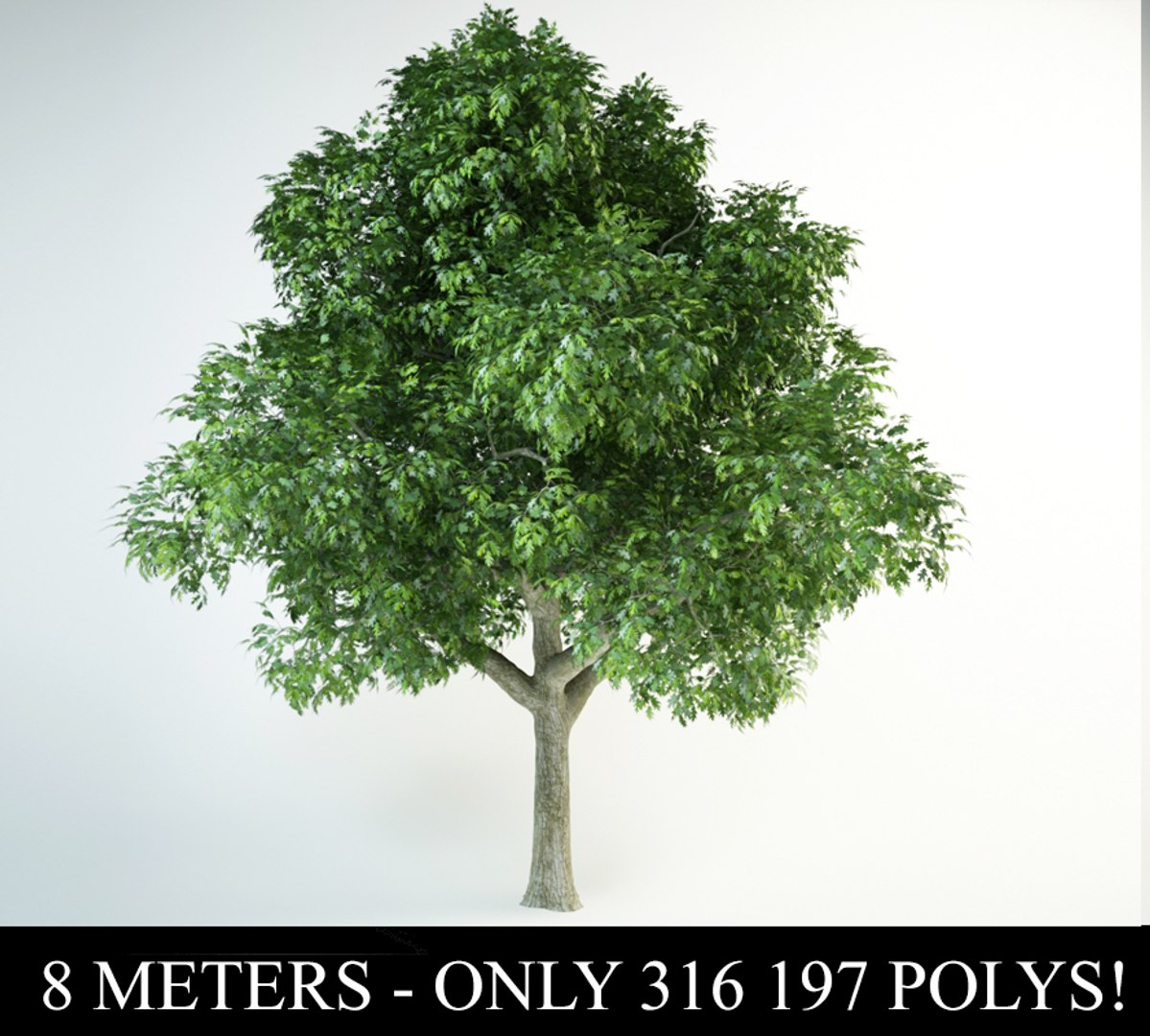 Red Oak 3D - TurboSquid 1393697