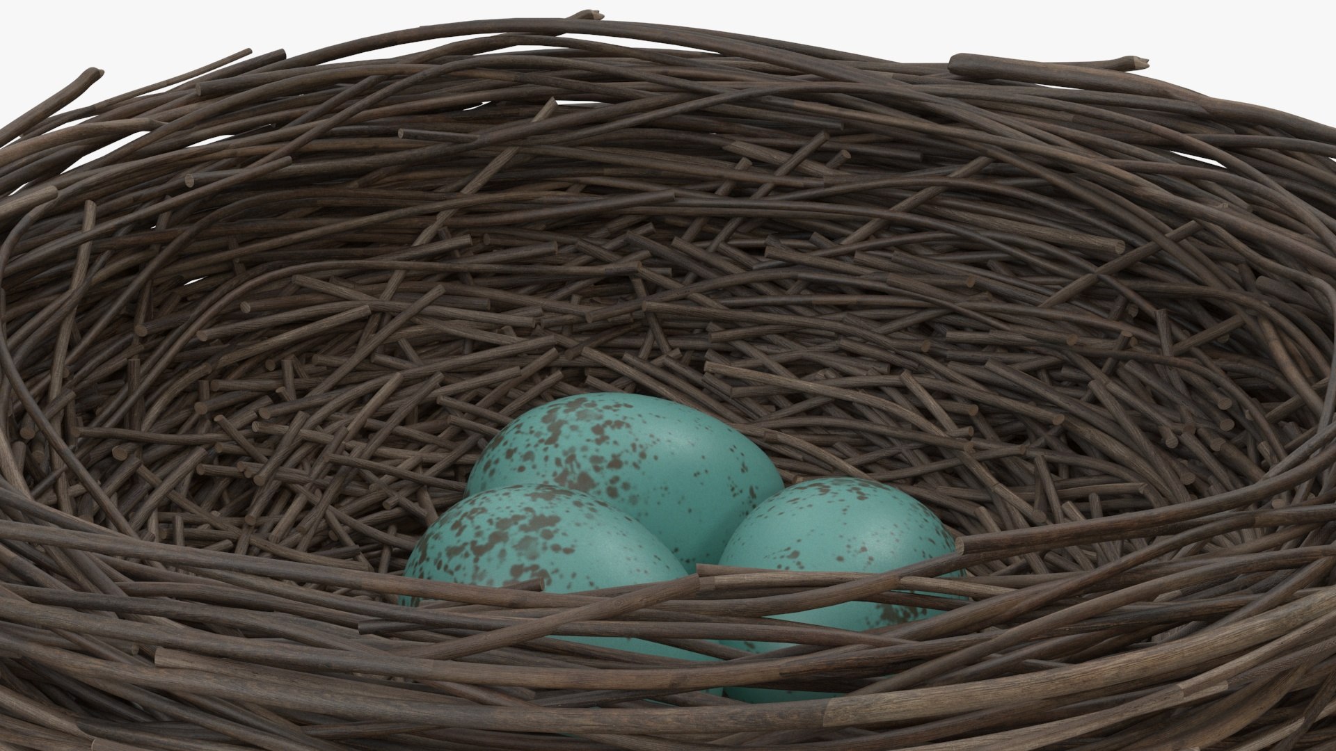 Bird Nest 3D - TurboSquid 2200237