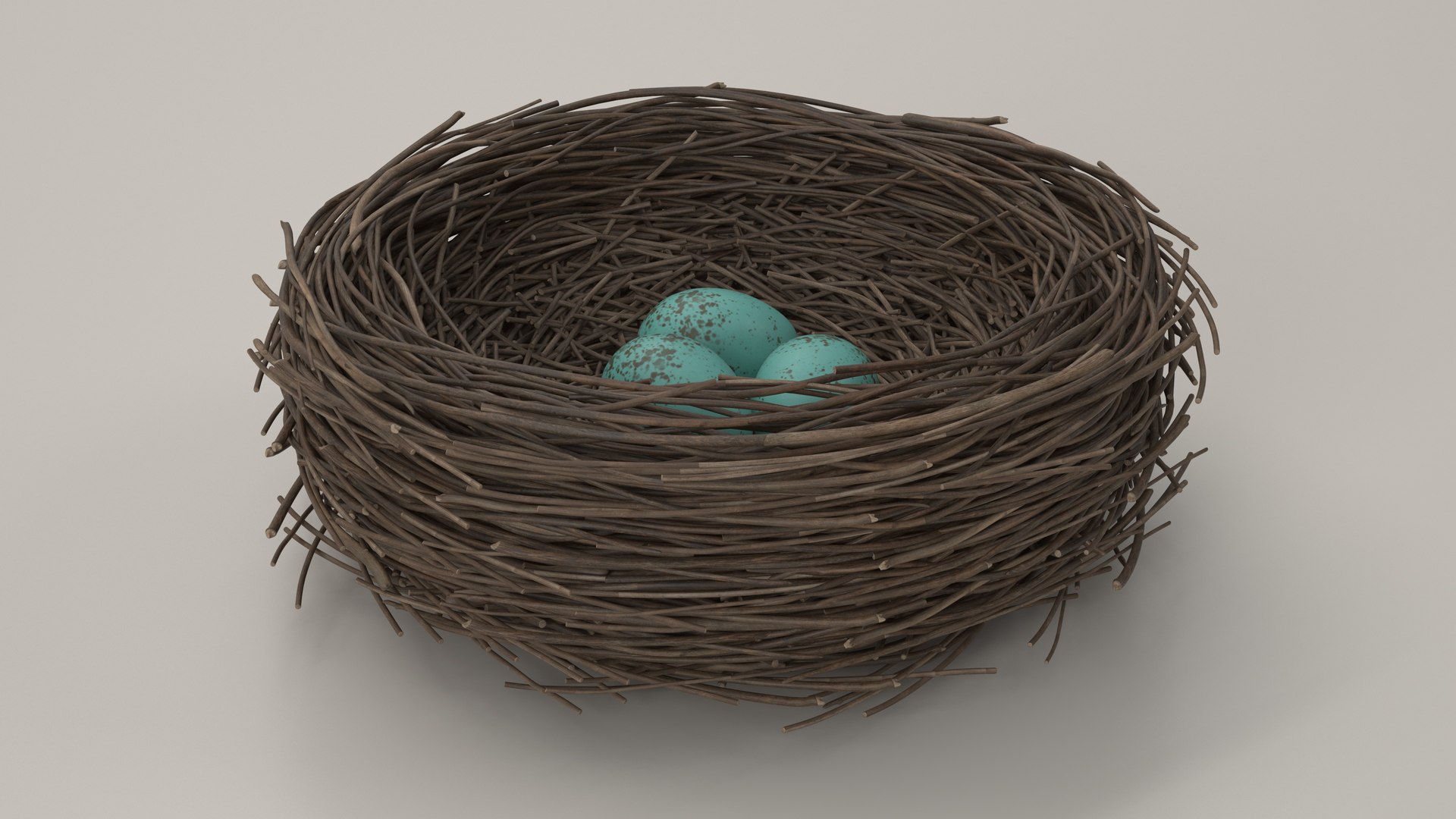 Bird Nest 3D - TurboSquid 2200237