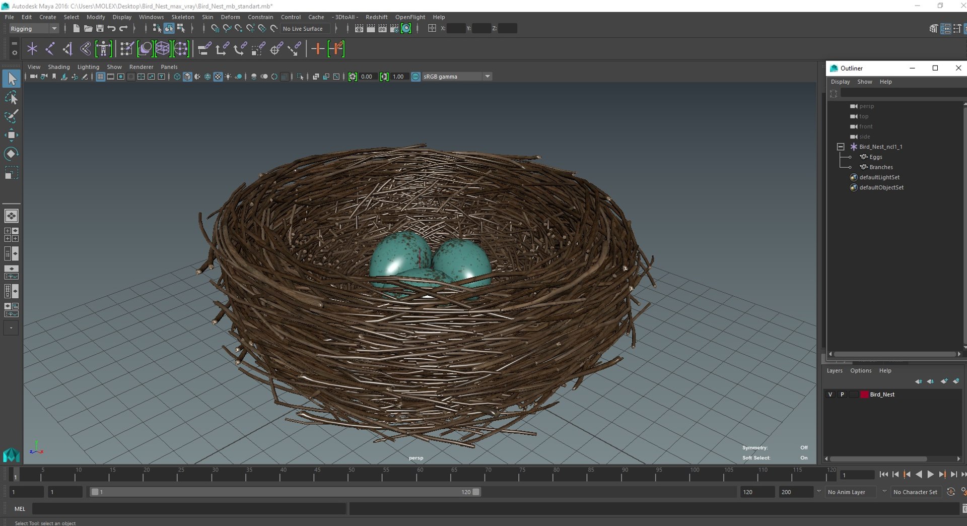 Bird Nest 3D - TurboSquid 2200237