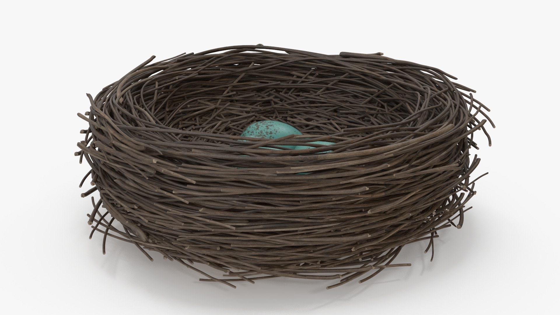 Bird Nest 3D - TurboSquid 2200237
