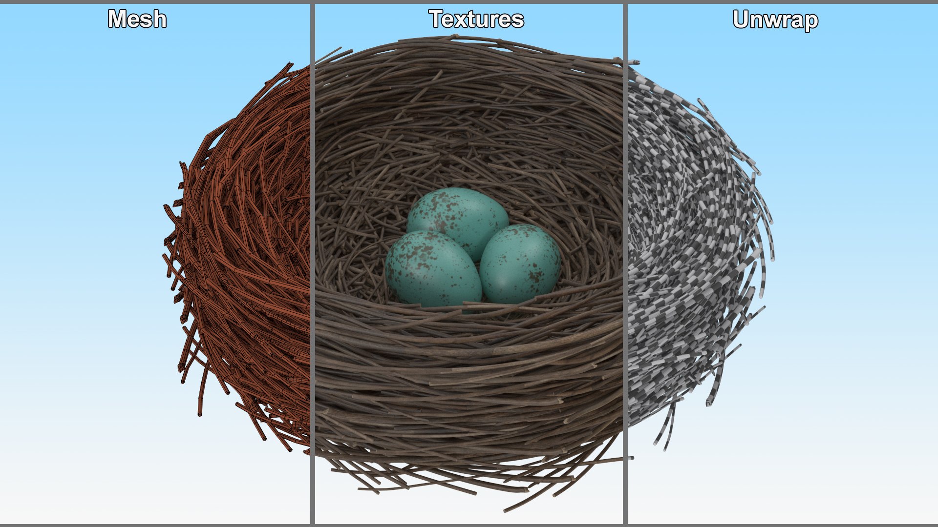 Bird Nest 3D - TurboSquid 2200237