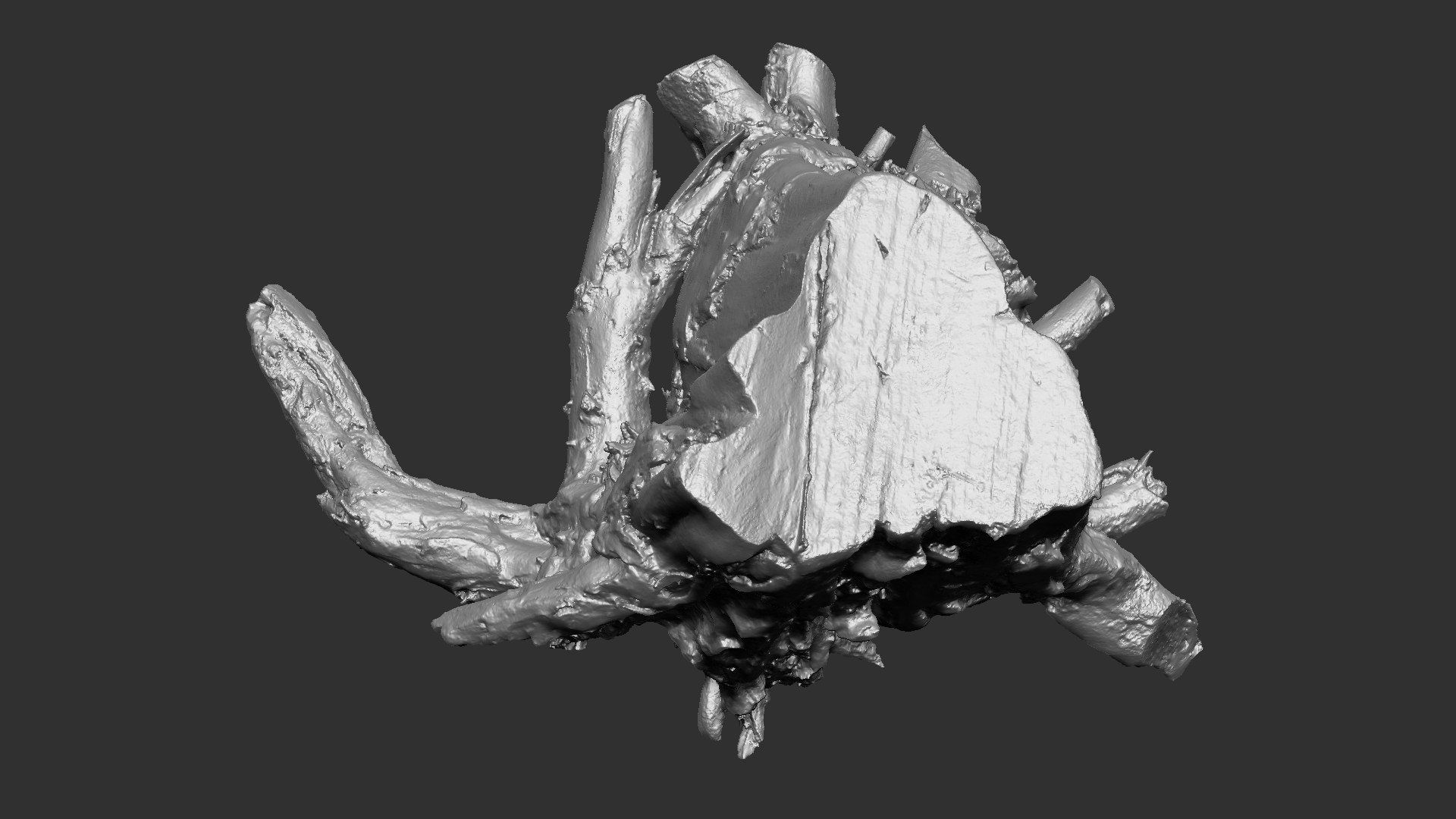 Scan Of Tree Root In Highpoly 3D Model - TurboSquid 2149546