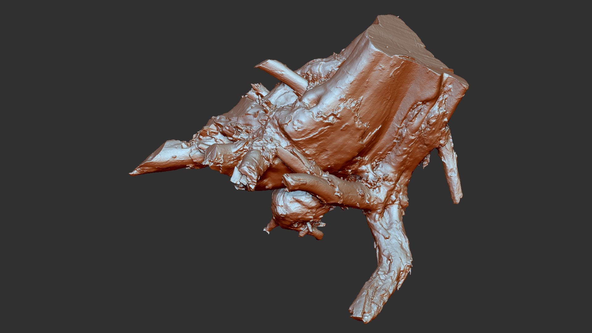 3d scan of tree root in highpoly 3D model - TurboSquid 2149546