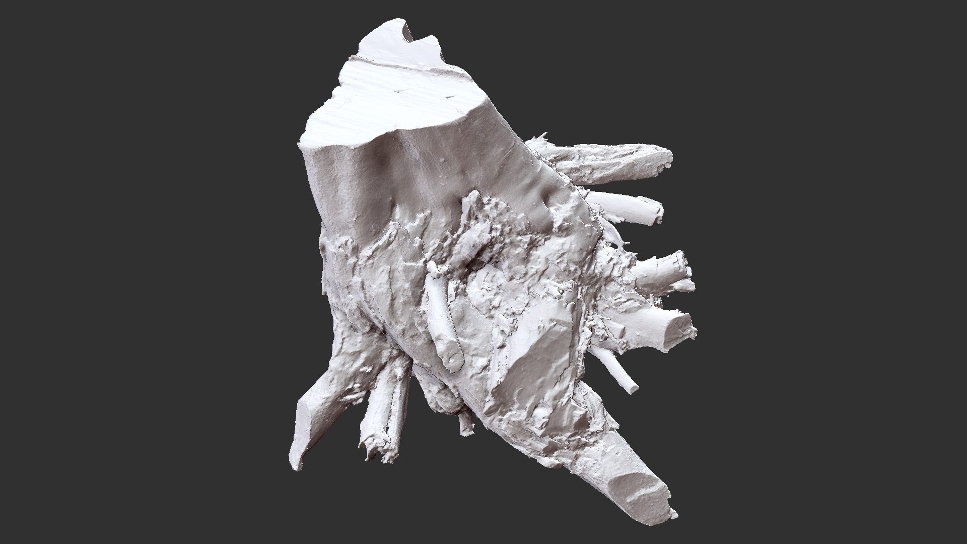 3d scan of tree root in highpoly 3D model - TurboSquid 2149546