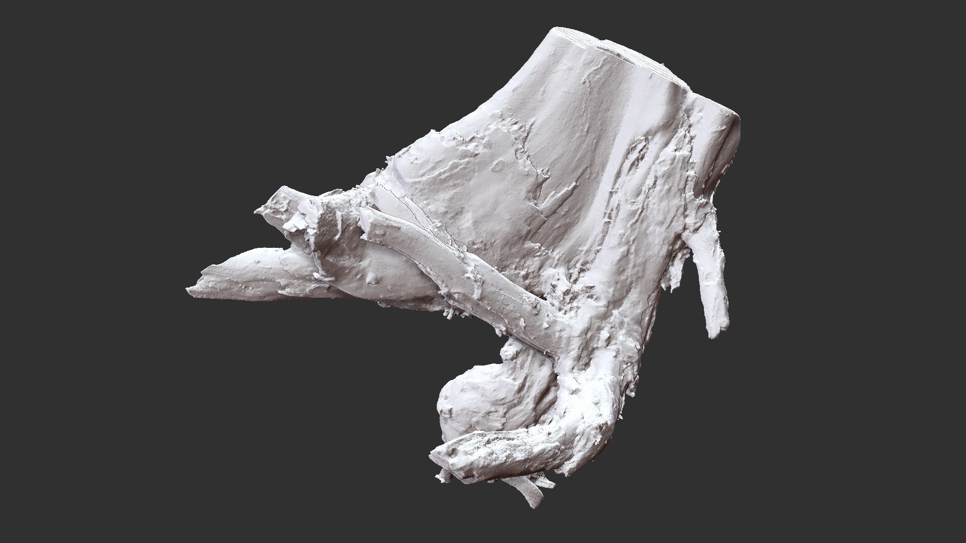 Scan Of Tree Root In Highpoly 3D Model - TurboSquid 2149546