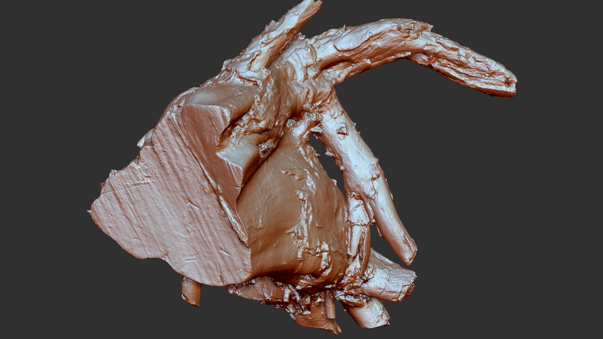 3d scan of tree root in highpoly 3D model - TurboSquid 2149546