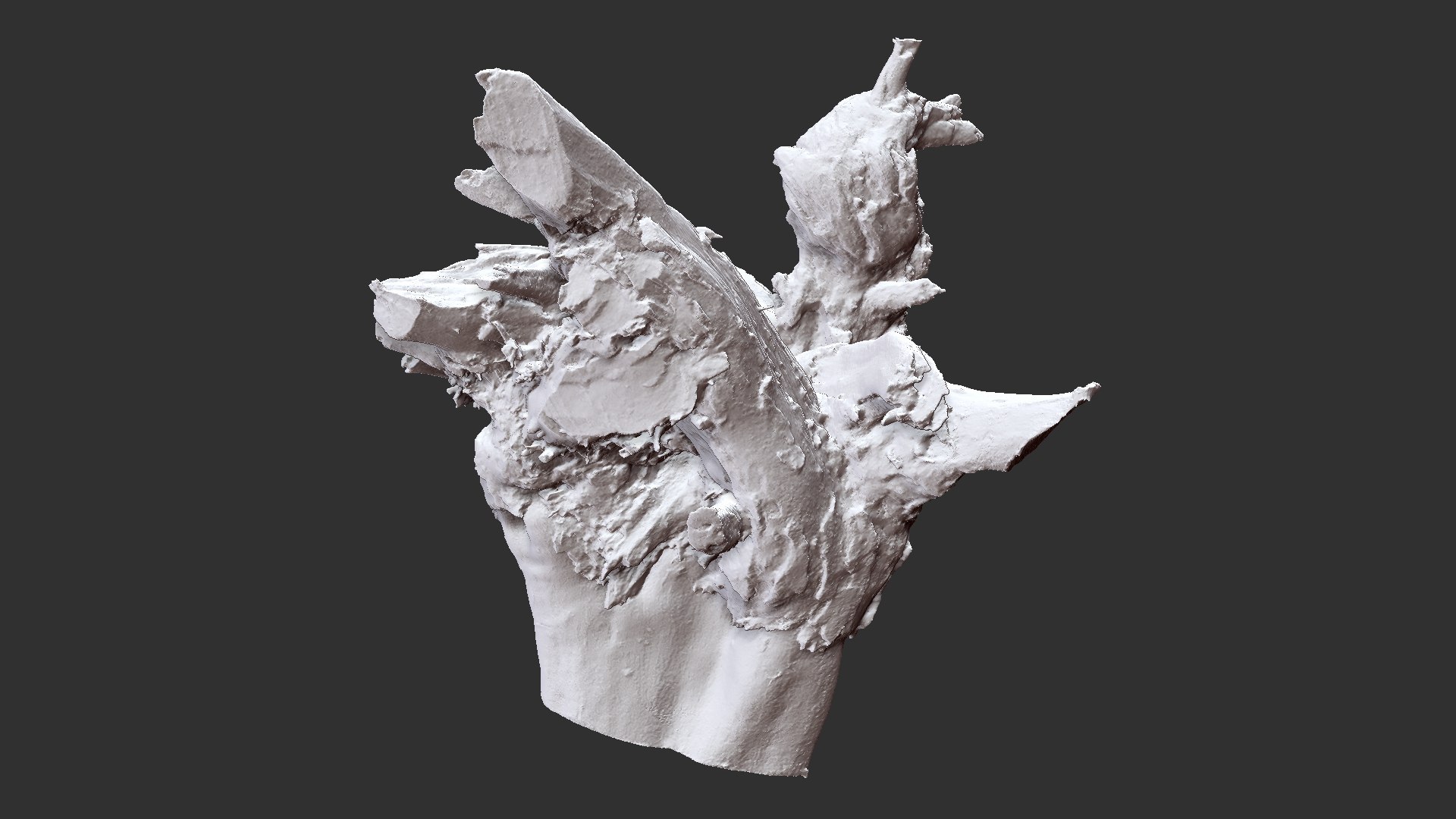 Scan Of Tree Root In Highpoly 3d Model Turbosquid 2149546